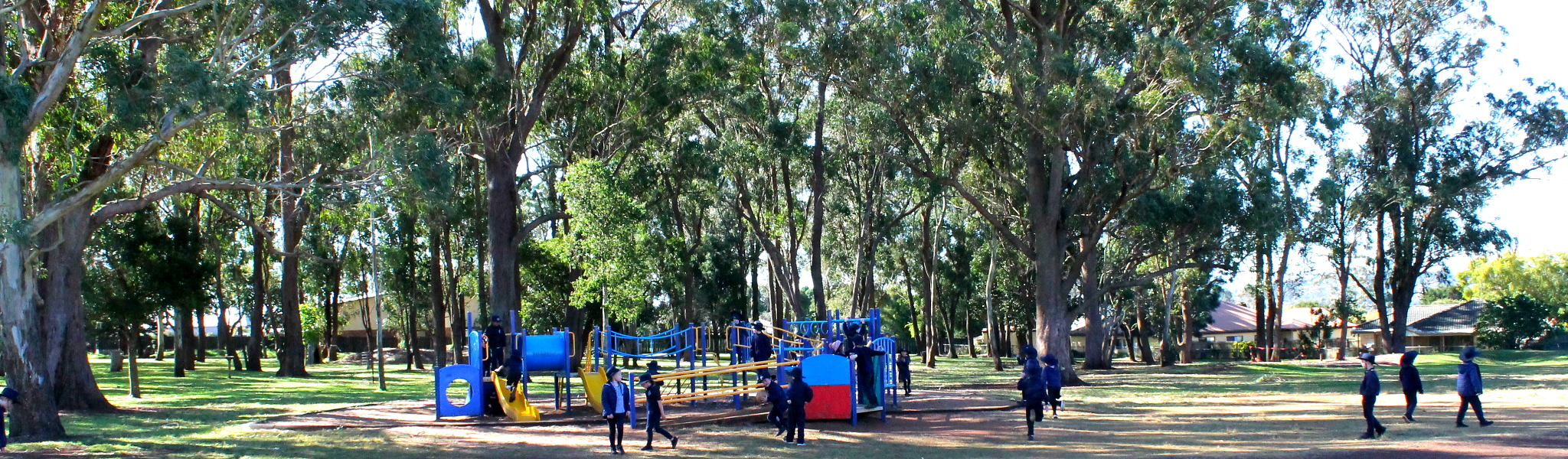 Middle Ridge State School