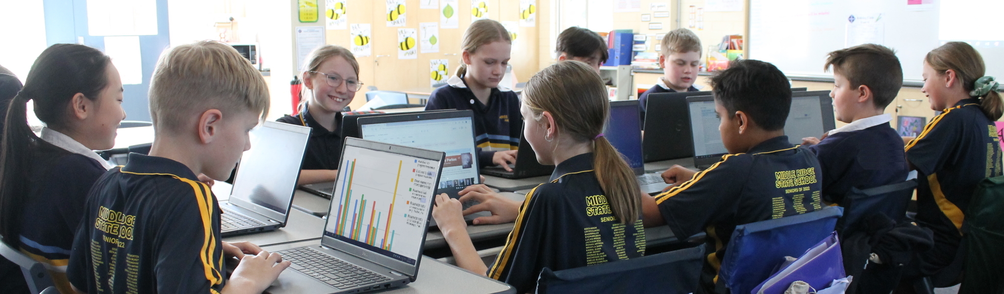 Middle Ridge State School